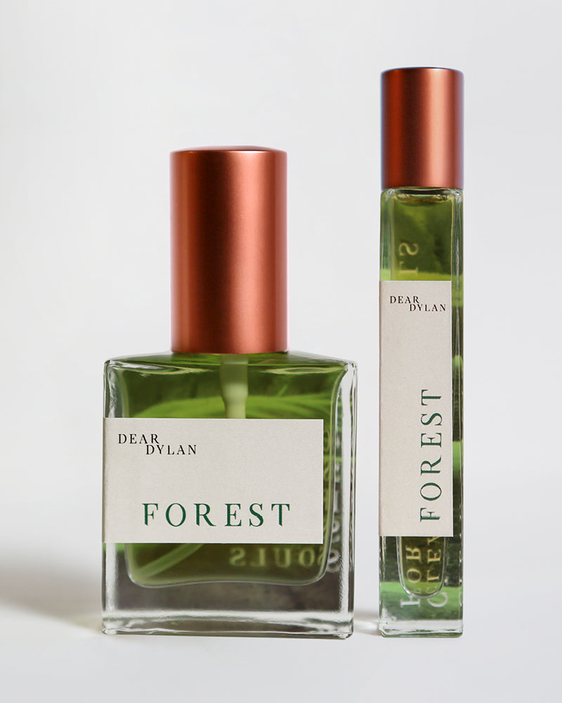 FOREST – Dear Dylan